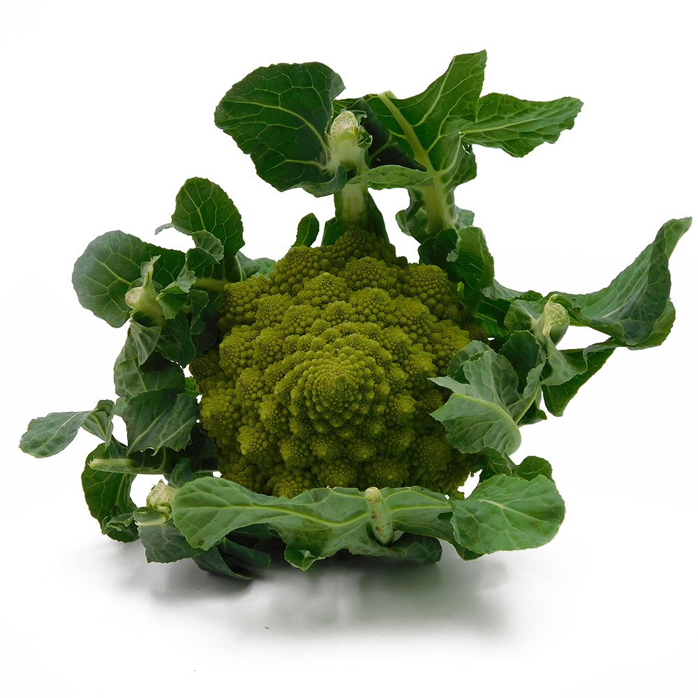 Romanesco | Ted's Veg